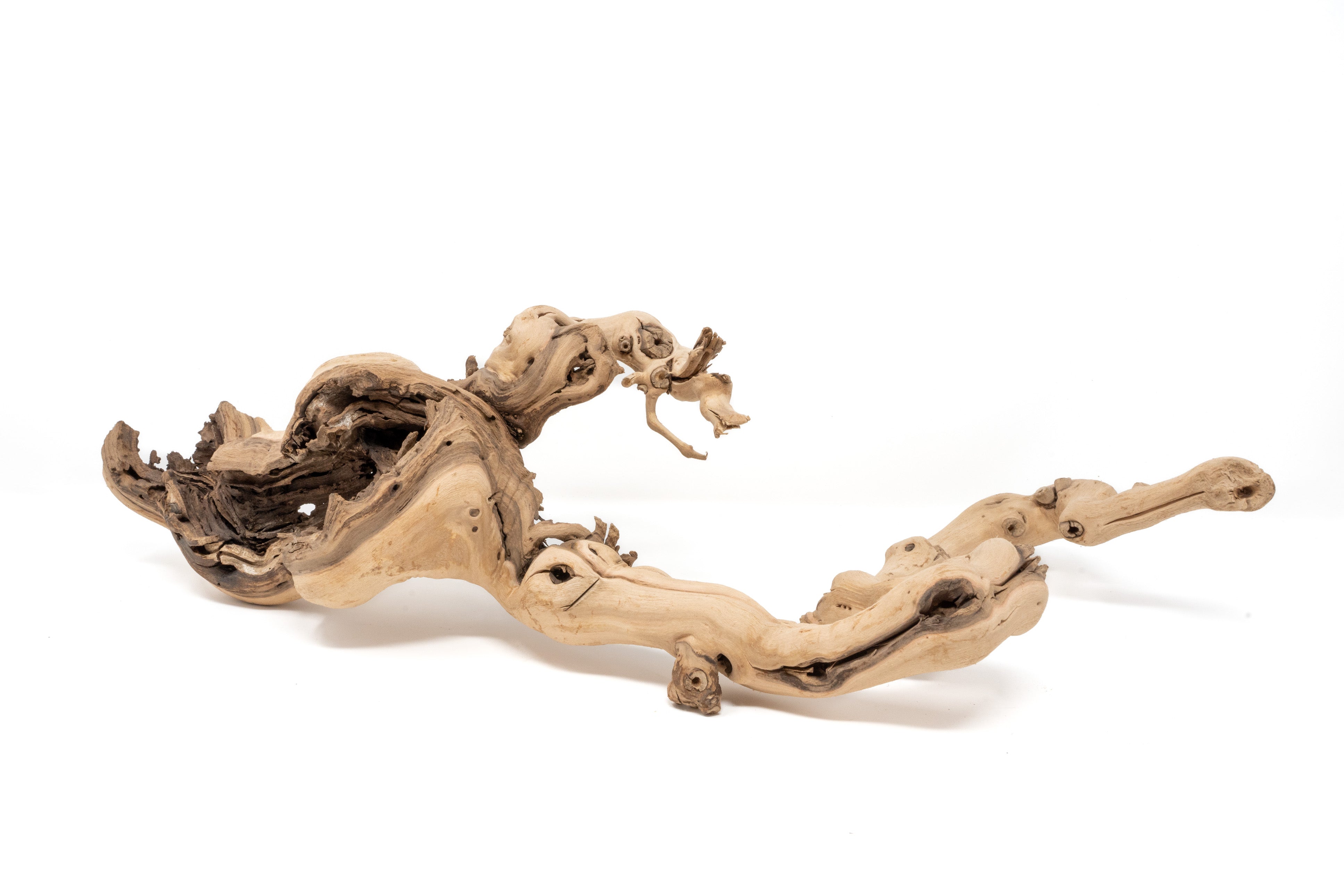 Wholesale - Sandblasted Grapewood Branches By The Pound