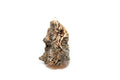 Wholesale - Virgin Cork Bark Slabs By the Pound for Air Plants