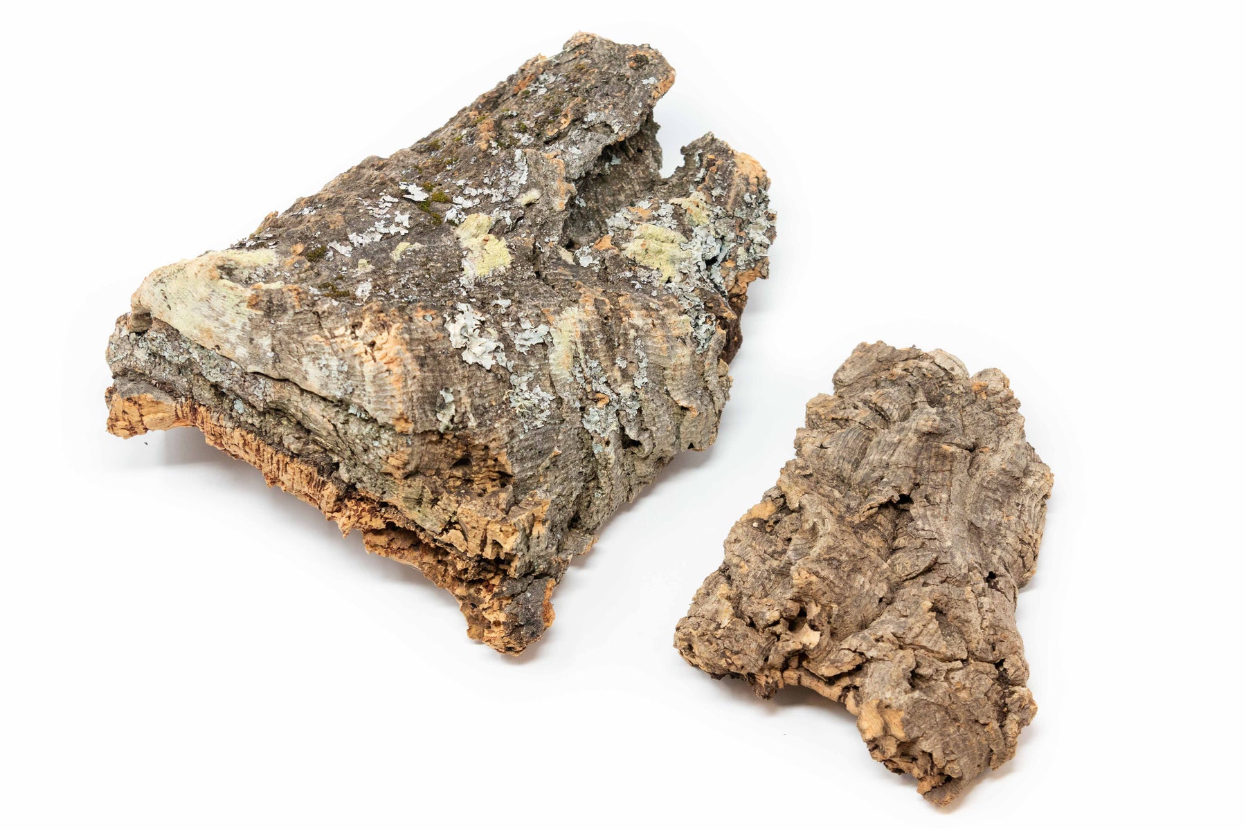 Wholesale - Virgin Cork Bark Slabs By the Pound for Air Plants