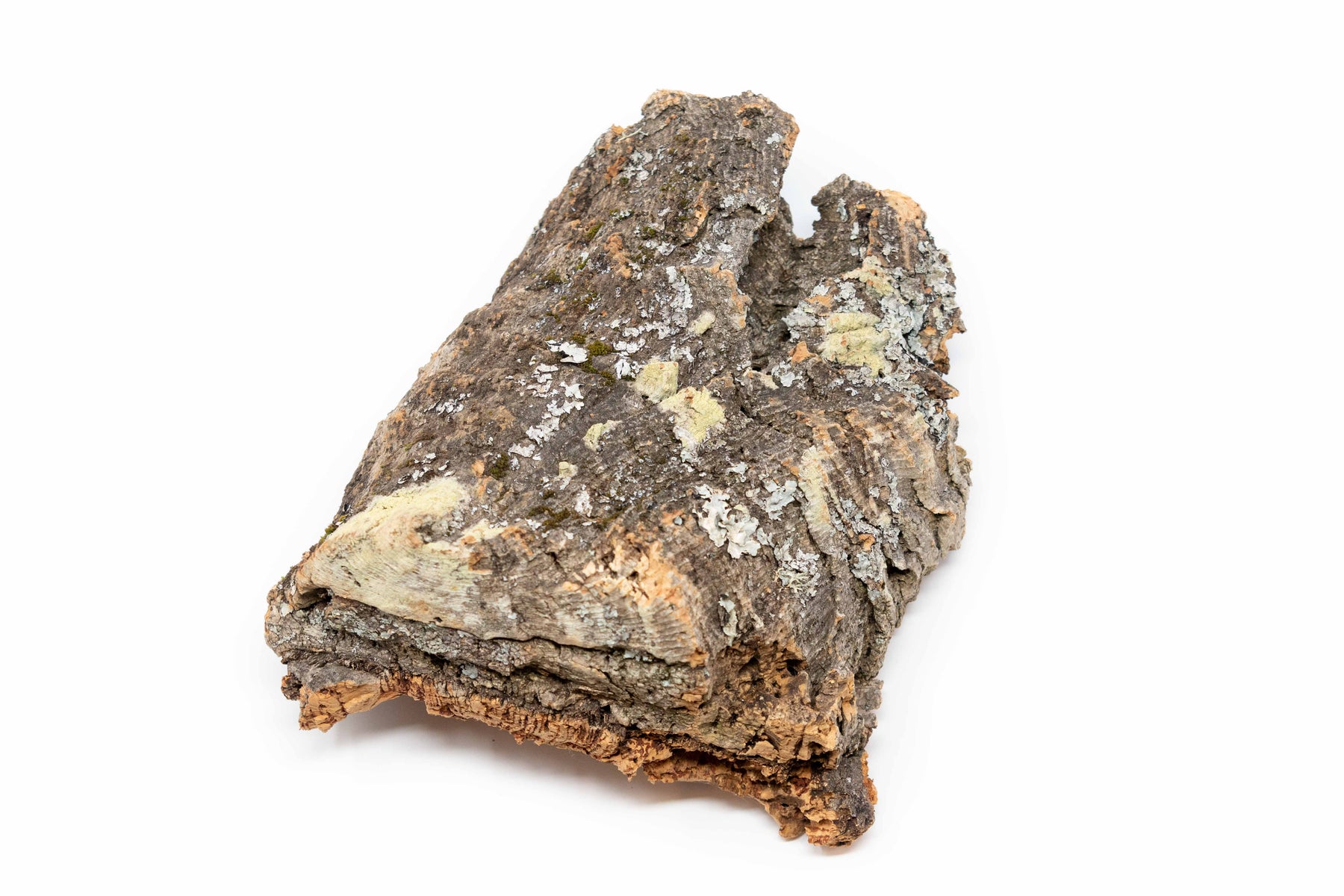 Wholesale - Virgin Cork Bark Slabs By the Pound for Air Plants