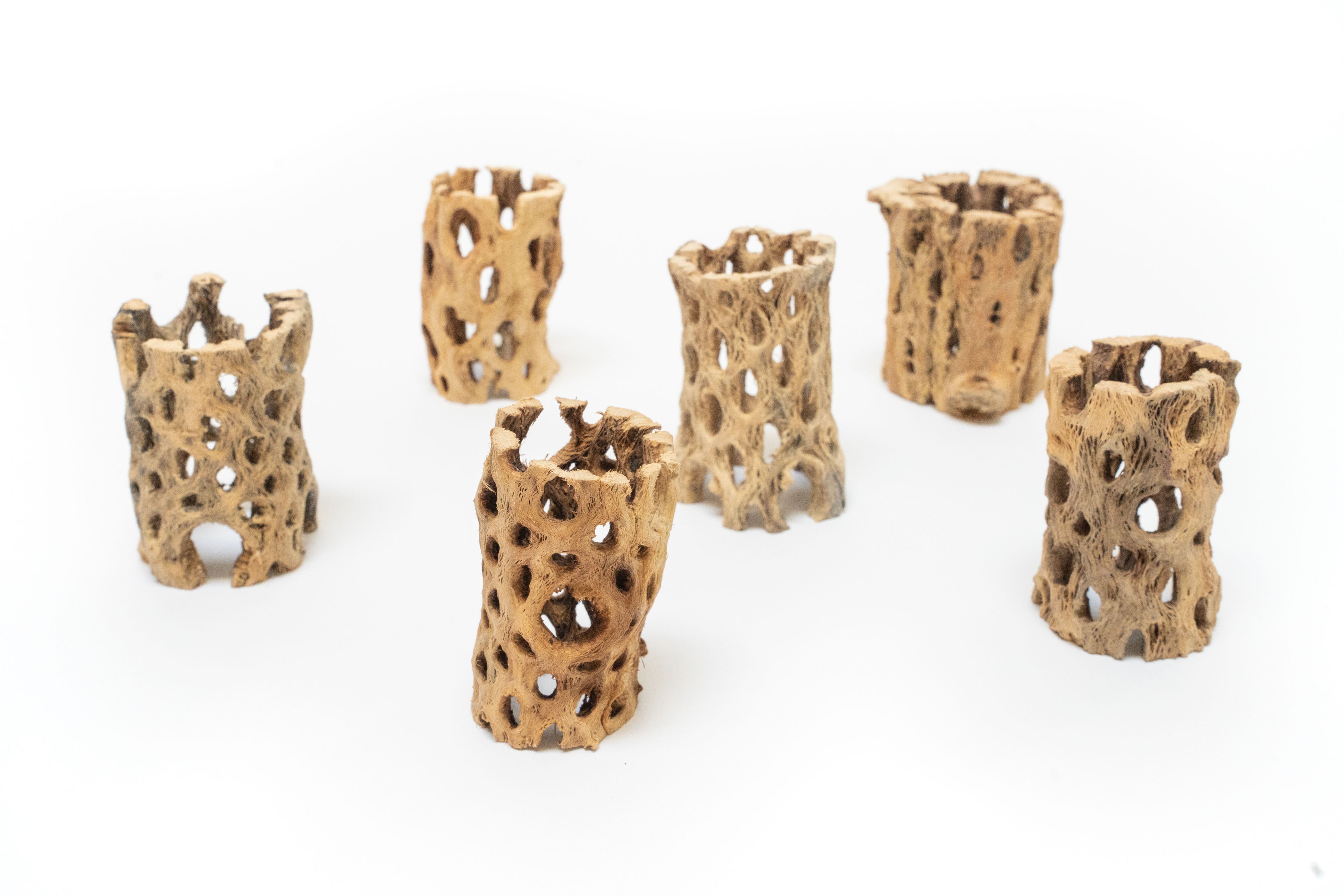Wholesale - Natural Cholla Wood Container - 3 Inches Tall